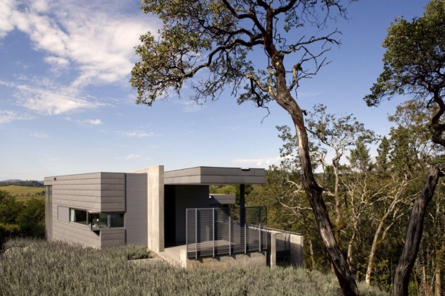 House in an Olive Grove by Cooper Joseph Studio