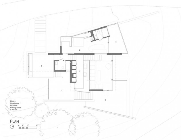 House in an Olive Grove by Cooper Joseph Studio