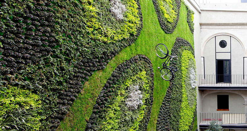 A bike was added to this huge green wall for a bit of whimsical fun