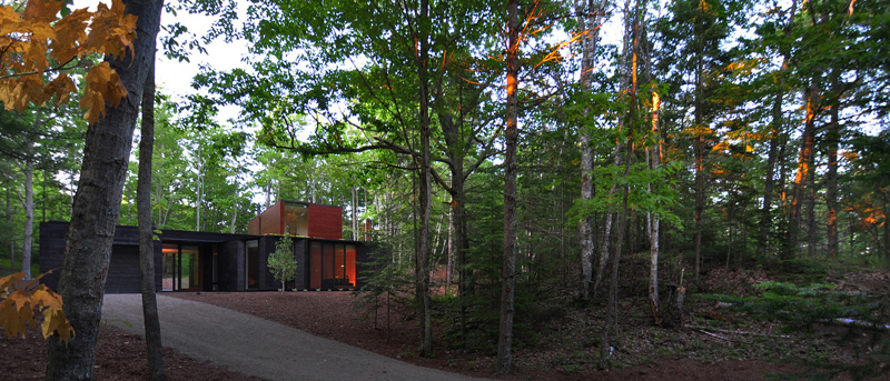 This New Home For A Wisconsin Couple Lives Deep In The Forest
