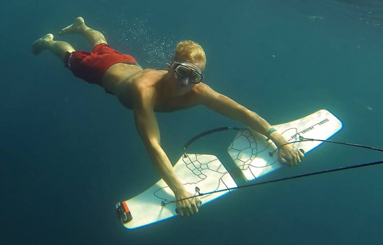 This Wing Was Designed For Flying Underwater