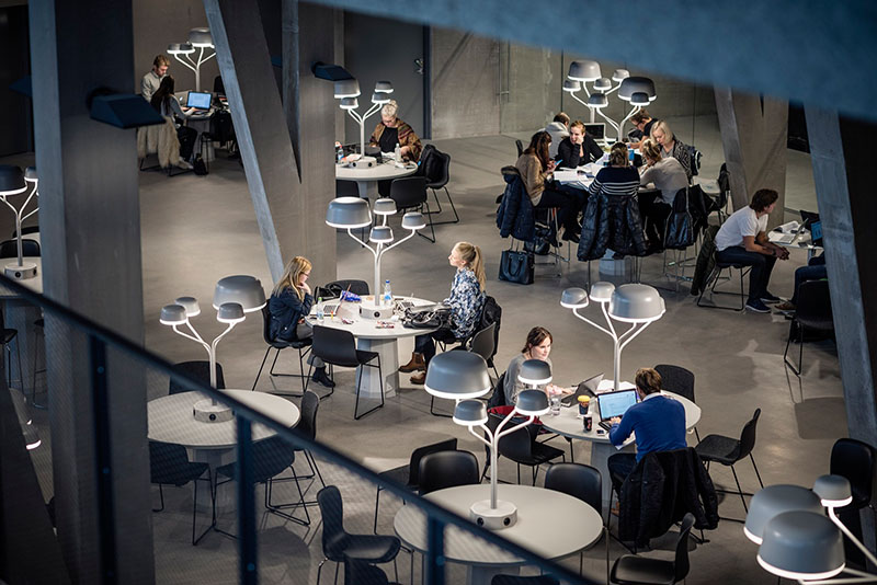 Mushroom-like lighting was custom designed for this university study space