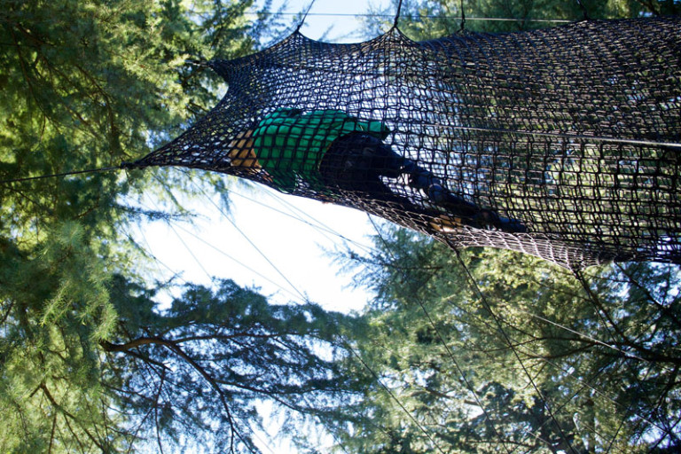 This tube-like netted structure lets you climb through the trees