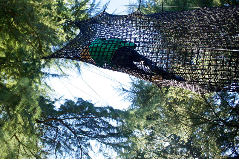 This tube-like netted structure lets you climb through the trees