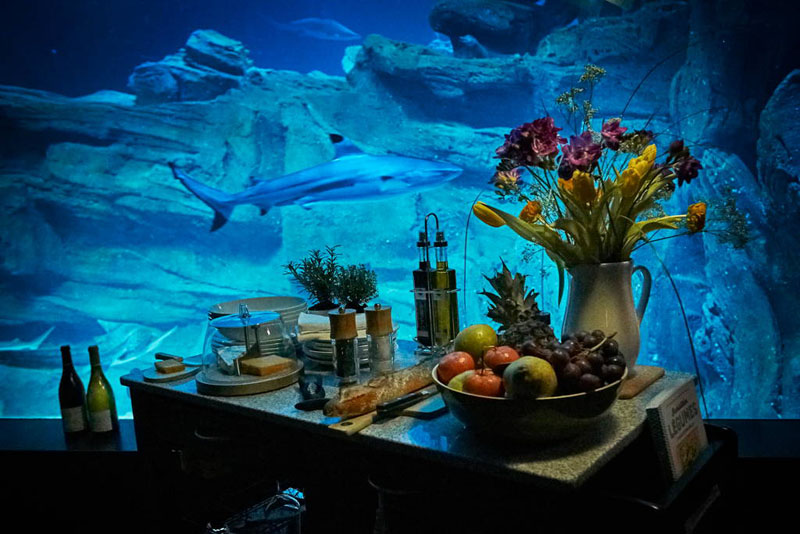 You can now sleep in this underwater room surrounded by sharks