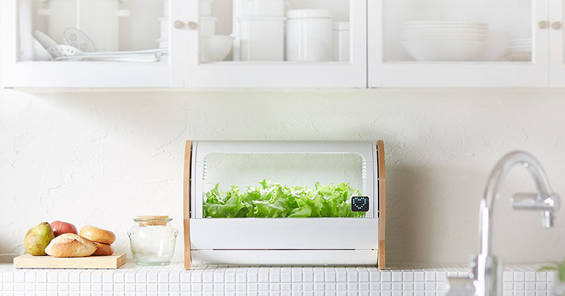 A Countertop Hydroponic Garden Makes It Easy To Grow Your Own Greens