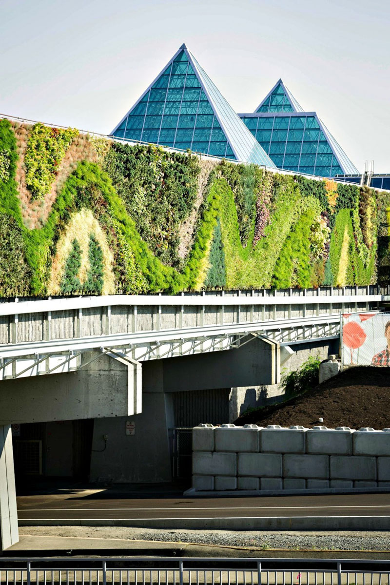 Watch this timelapse of the largest living wall in North America being made