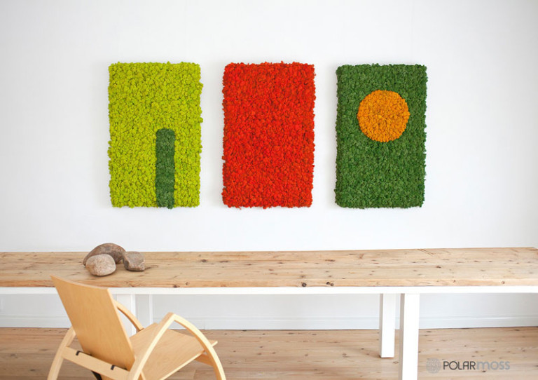 See How People Are Using Moss To Bring A Touch Of Nature Indoors