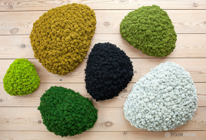 See How People Are Using Moss To Bring A Touch Of Nature Indoors