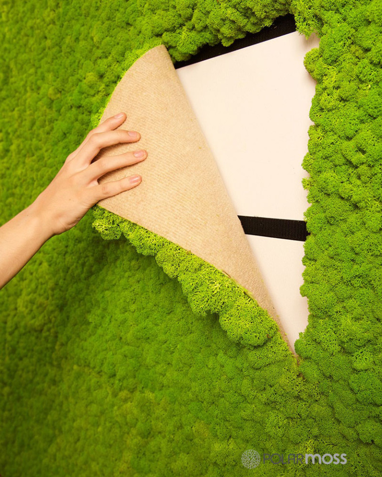 See How People Are Using Moss To Bring A Touch Of Nature Indoors