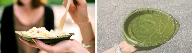 These New 100% Recyclable Plates Are Made From Leaves