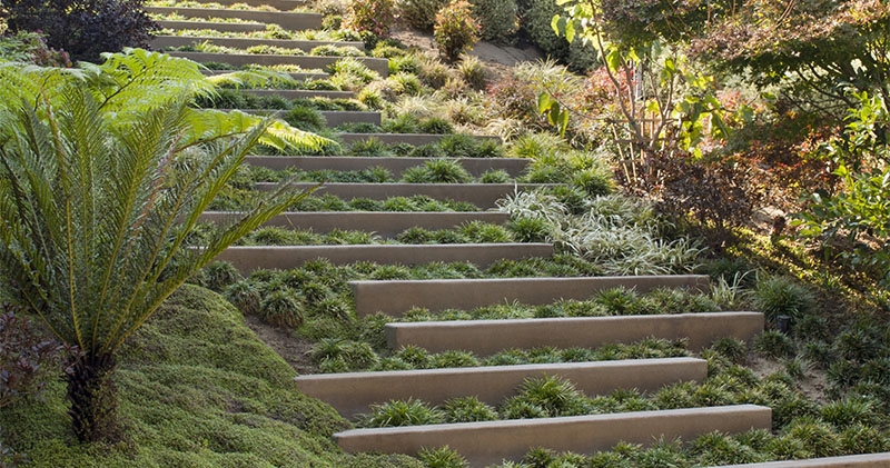Landscape Design Idea - Steps With Integrated Greenery