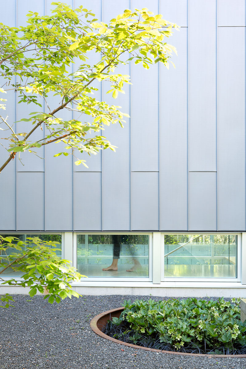 This new modern house in Vancouver is surrounded by tall evergreen trees