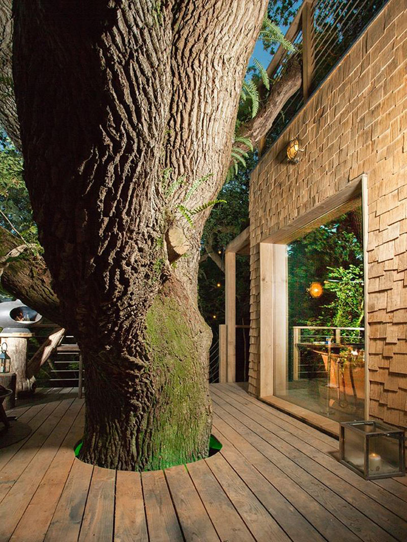 This amazing treehouse hotel was designed for adults on vacation