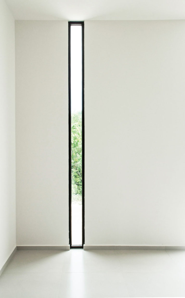 Window Style Ideas - Narrow Vertical Windows