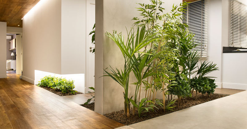 Built-In Planters Have Been Included In The Design Of This Apartment