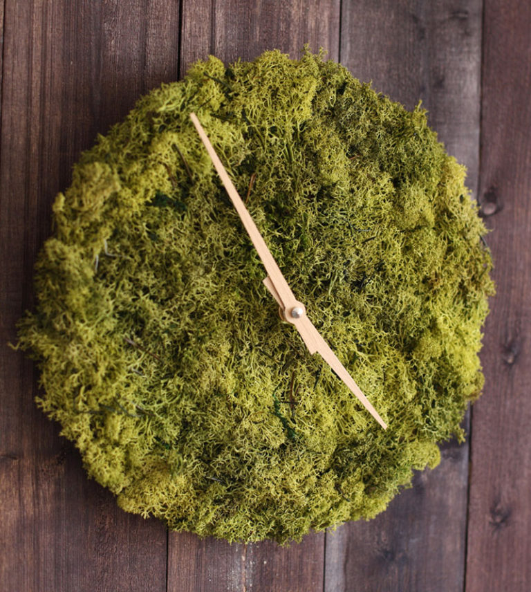 This Wall Clock Is Covered In Icelandic Moss