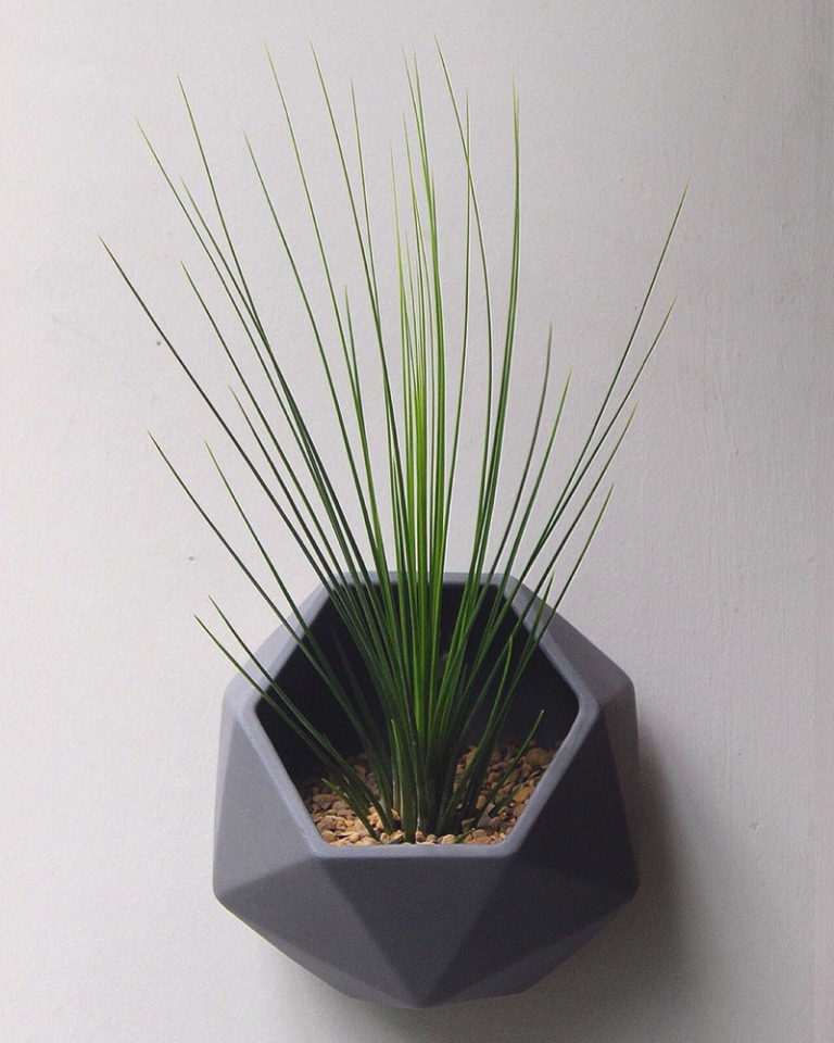 10 Modern Wall Mounted Plant Holders To Decorate Bare Walls