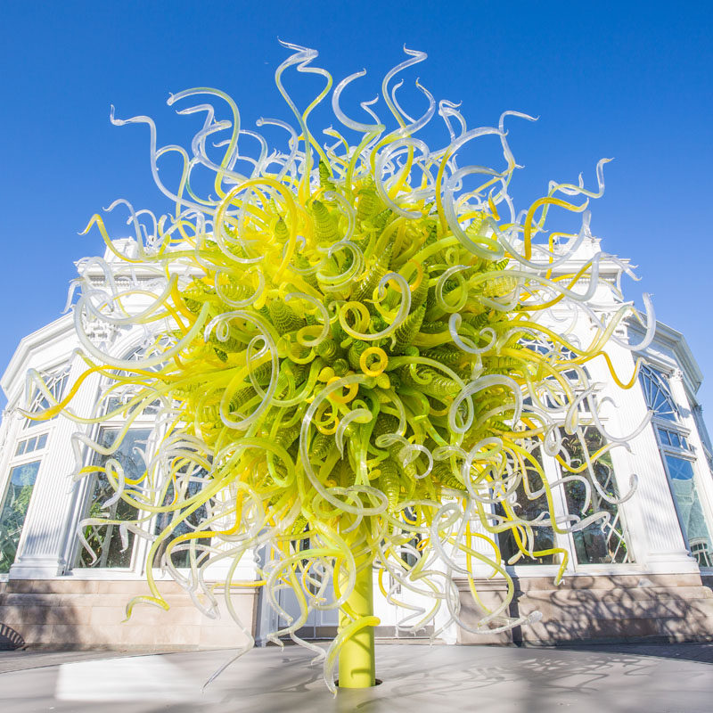 Dale Chihuly s Glass Sculptures Takeover The New York Botanical Garden Dale Chihuly s Glass Sculptures Takeover The New York Botanical Garden