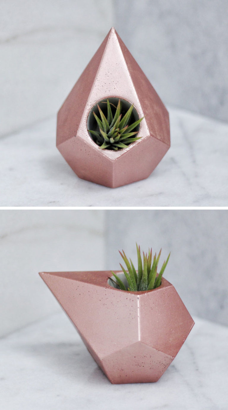 Fun And Functional Tabletop Planters Are An Easy Addition To Your Home ...