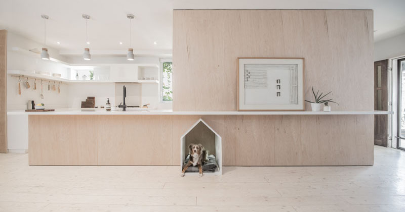 The Family Dog Was Considered In The Design Of This Toronto House