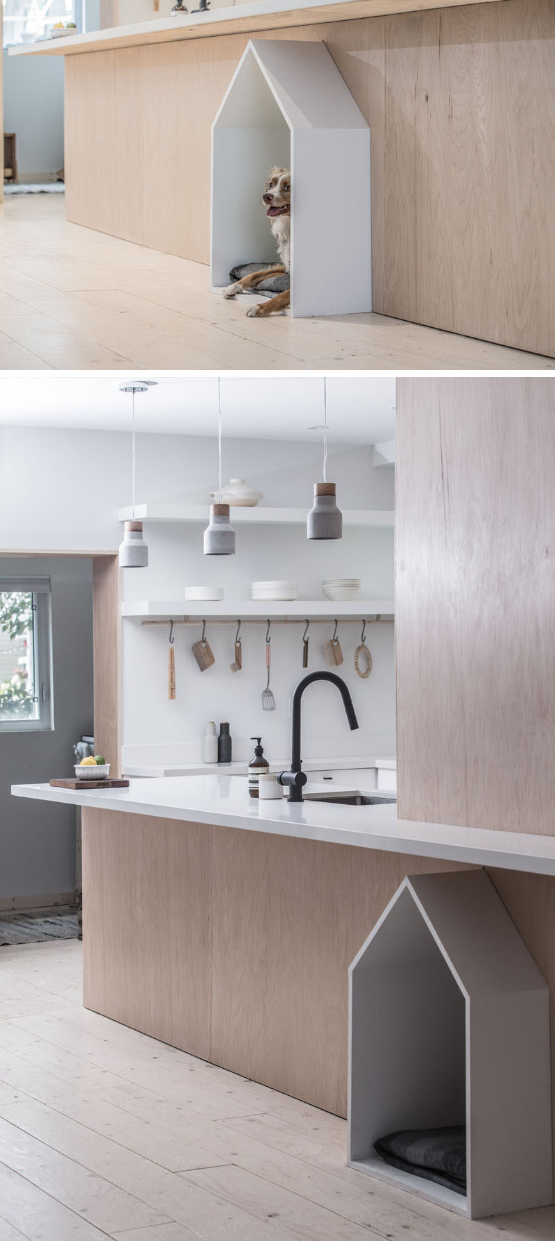 The Family Dog Was Considered In The Design Of This Toronto House