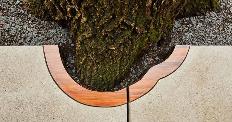 Design Detail - This Concrete Walkway Was Designed Around A Tree Trunk ...
