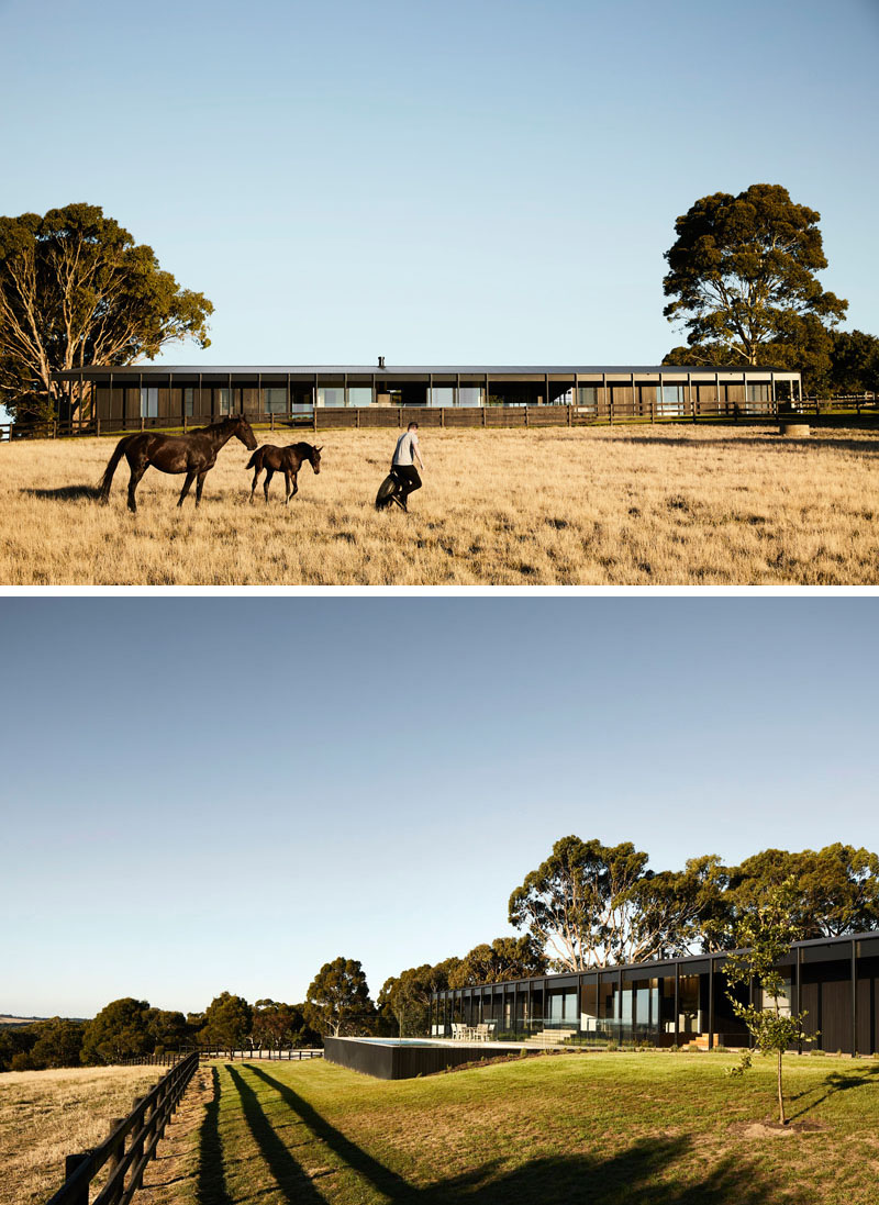 Blackened Wood Siding Covers This Modern Farm House In Rural Australia