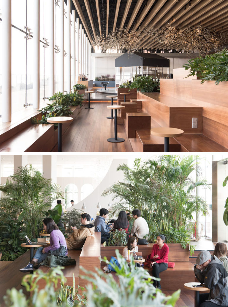 A Landscape Of Moss Covered Rocks Surrounds This Coffee Shop Inside A ...