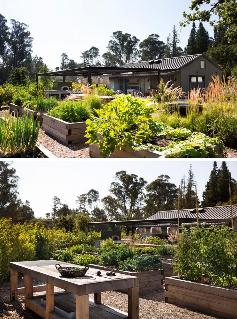 6 Large Backyard Landscaping Ideas We Noticed At This New House In ...