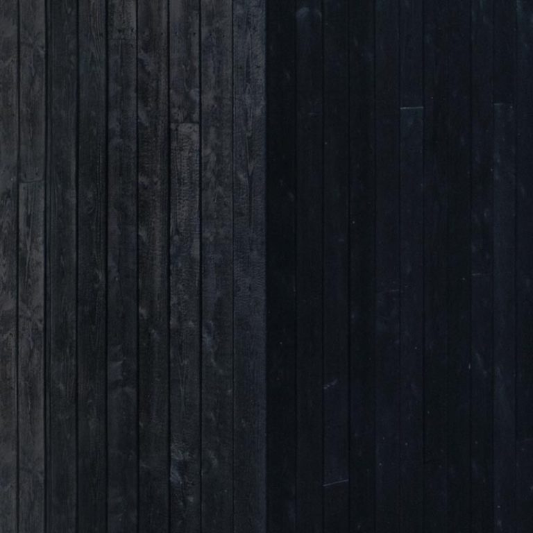 Black Charred Wood Siding Creates A Bold Look For This Lakeside Home