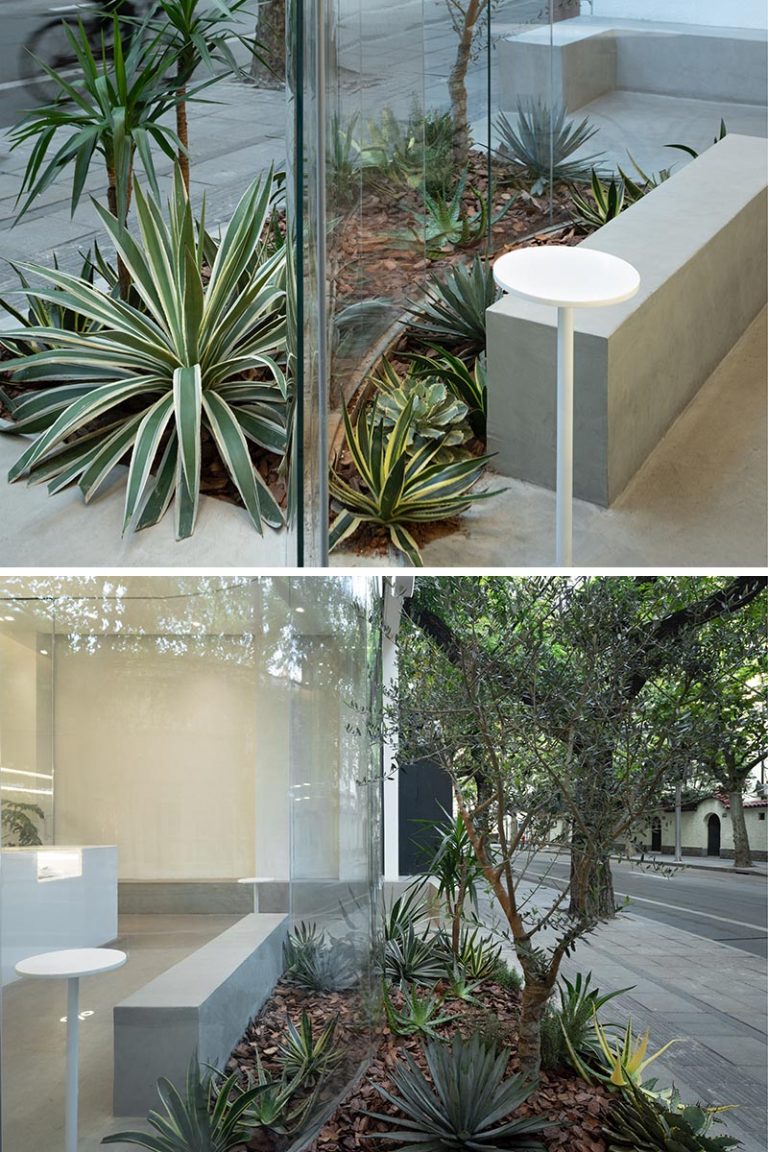 This Coffee Shop's Curved Glass Facade Makes The Interior Completely ...