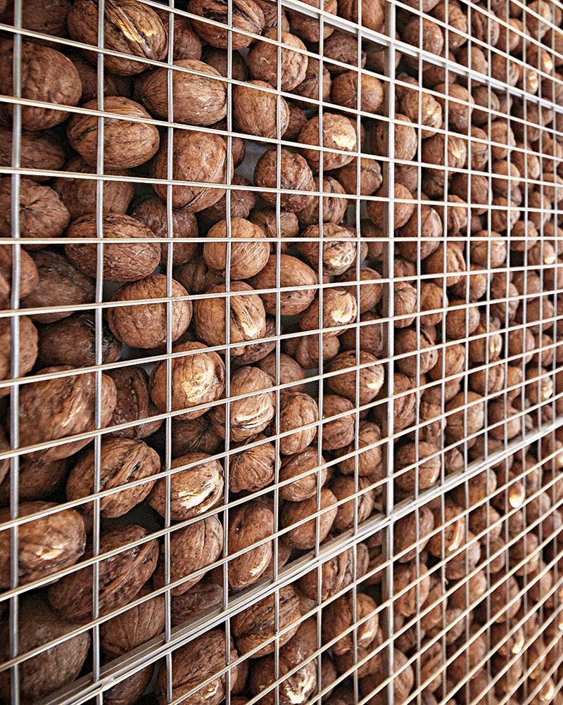 FARK.com: (10805779) Photoshop this nut cage accent wall