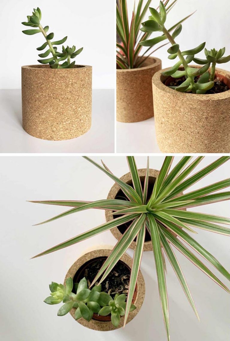 Modern Cork Planters Are Great For Showing Off Succulents And Cacti