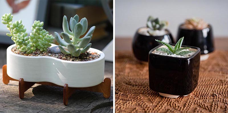9 Modern Succulent Pots To Show Off Your Tiny Plants
