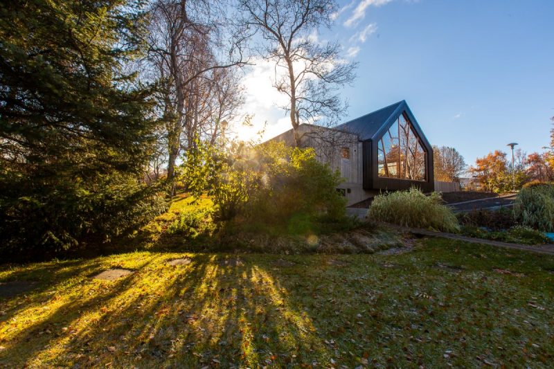 Wood Window Frames Designed To Look Like Tree Branches Add A Creative ...