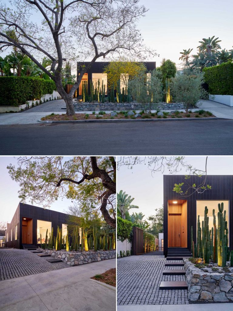 Cacti Were Used To Create Privacy For This Home In Los Angeles