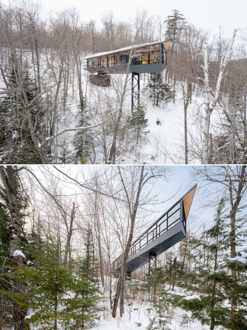 This Dramatically Elevated Cabin Sits Among The Treetops