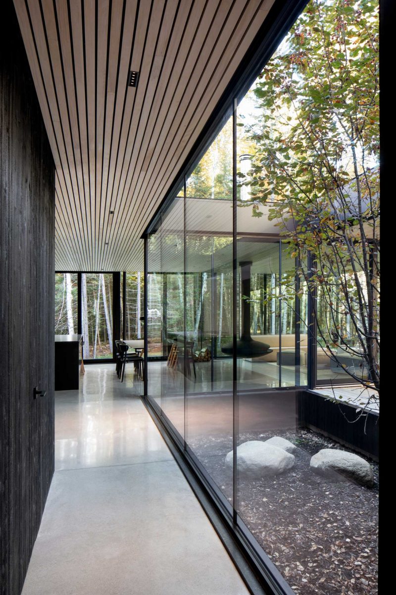 Walls Of Glass Allow The Forest Views To Enter This Home