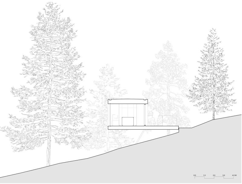 This Wood Covered House Hovers Above The Hillside In The Forest