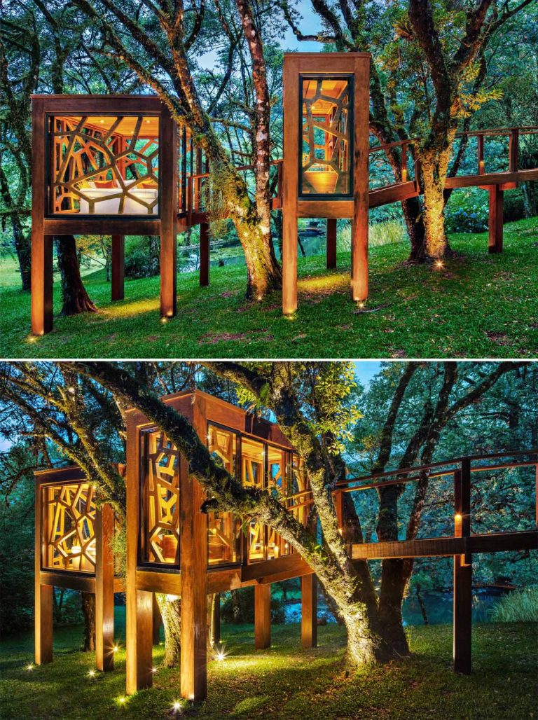 A Modern Tree House With Two Rooms