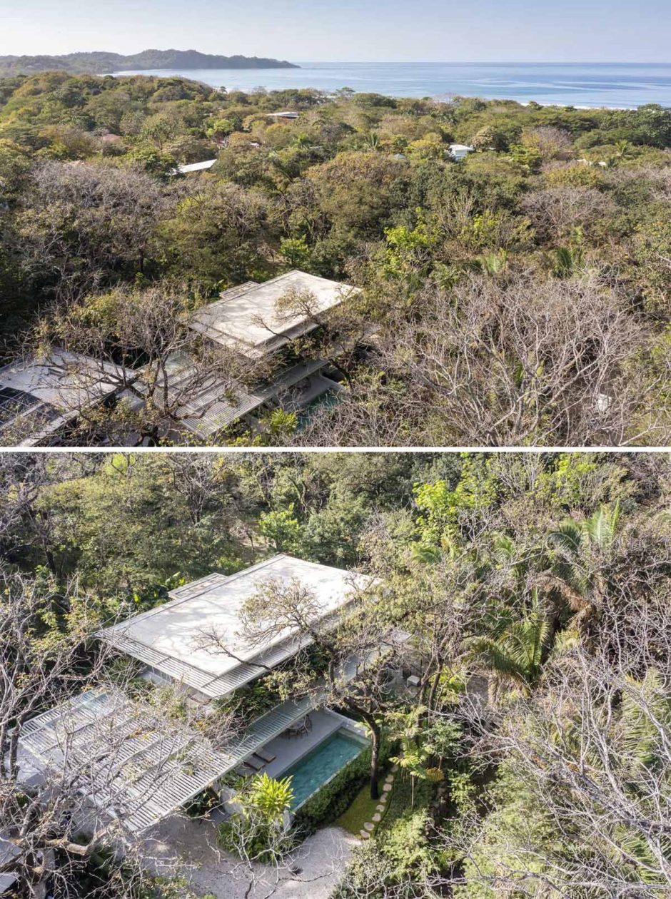 Planter Boxes Were Designed To Help This House To Blend Into Its ...