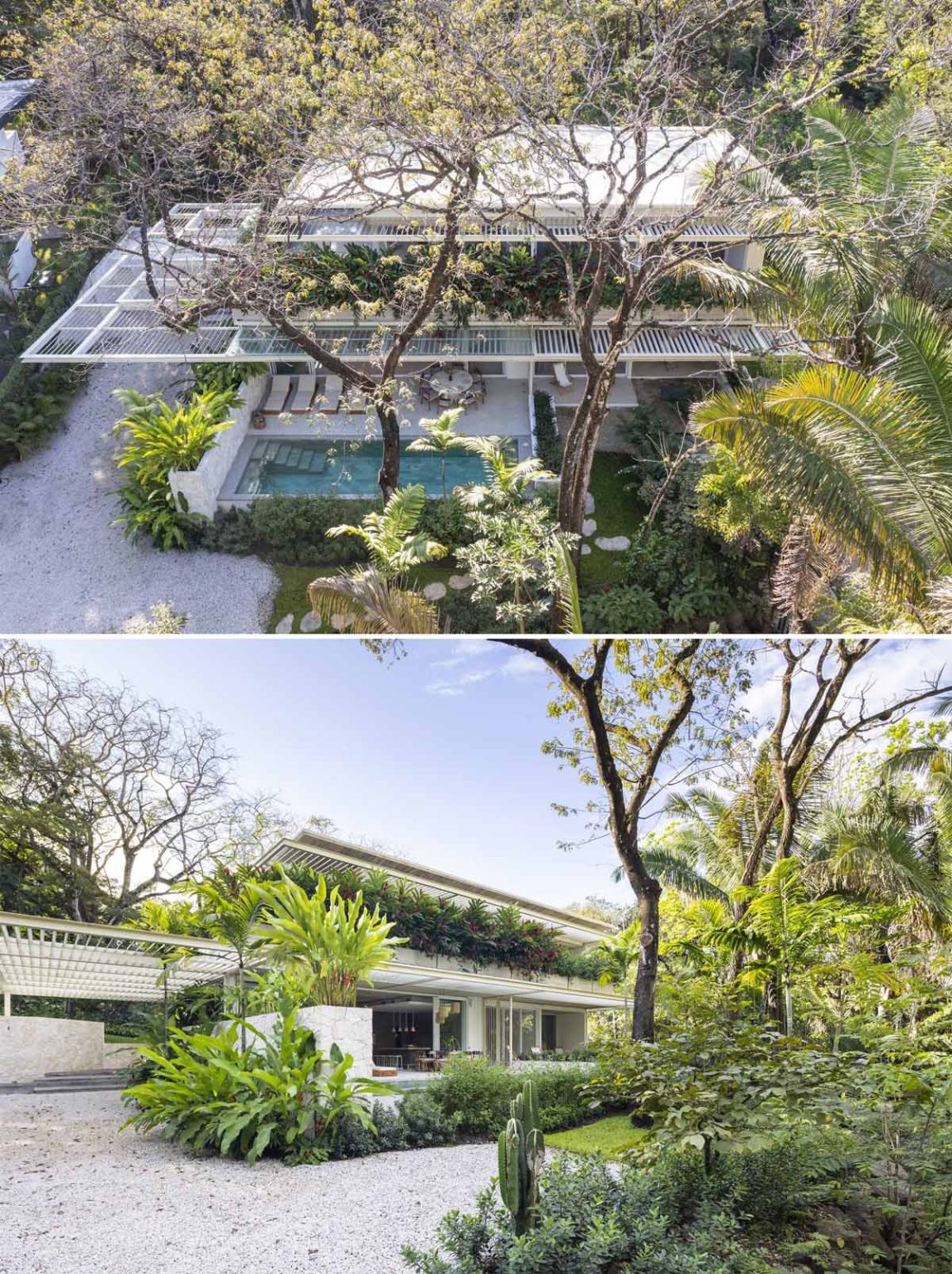 Planter Boxes Were Designed To Help This House To Blend Into Its ...