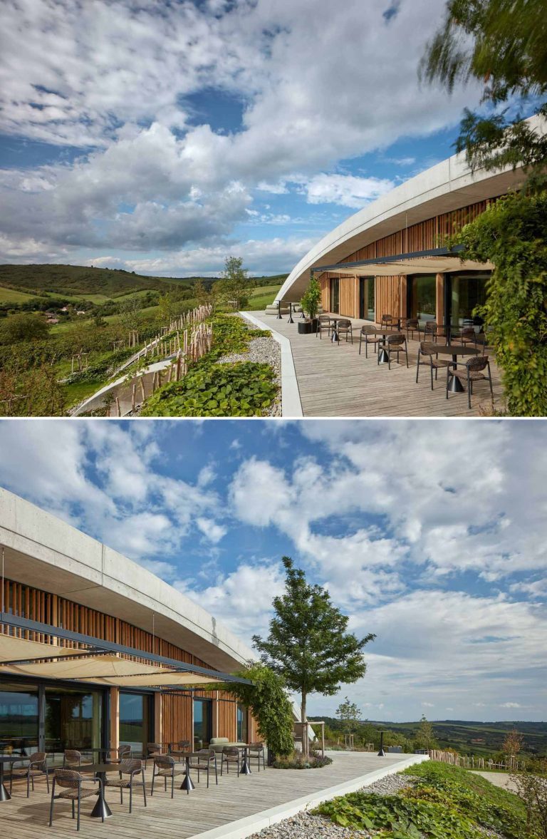A Curved Green Roof Allows This Winery To Blend Into The Landscape