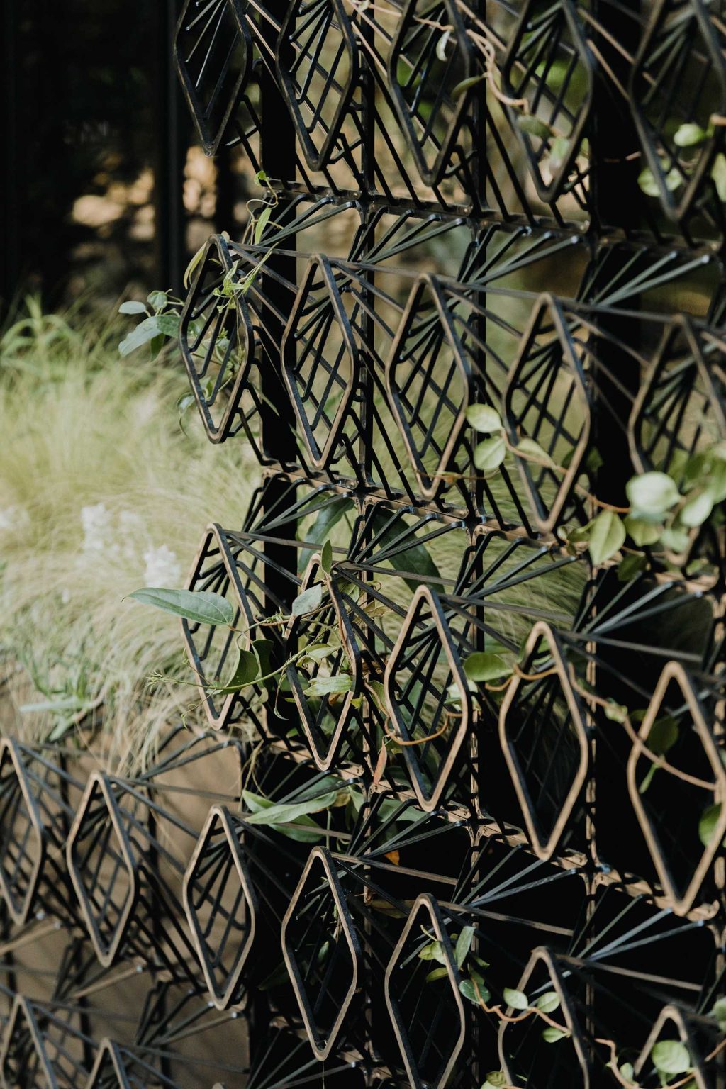 Plants Are Encouraged To Grow Over The Exterior Of This New House