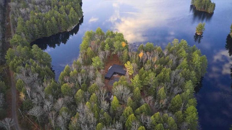 A Modern L-Shaped Home Surrounded By A Pine Tree Forest