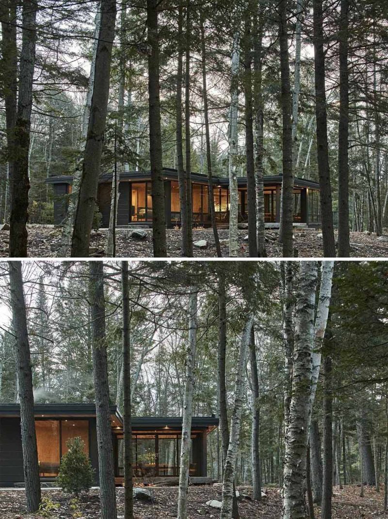 A Modern L-Shaped Home Surrounded By A Pine Tree Forest