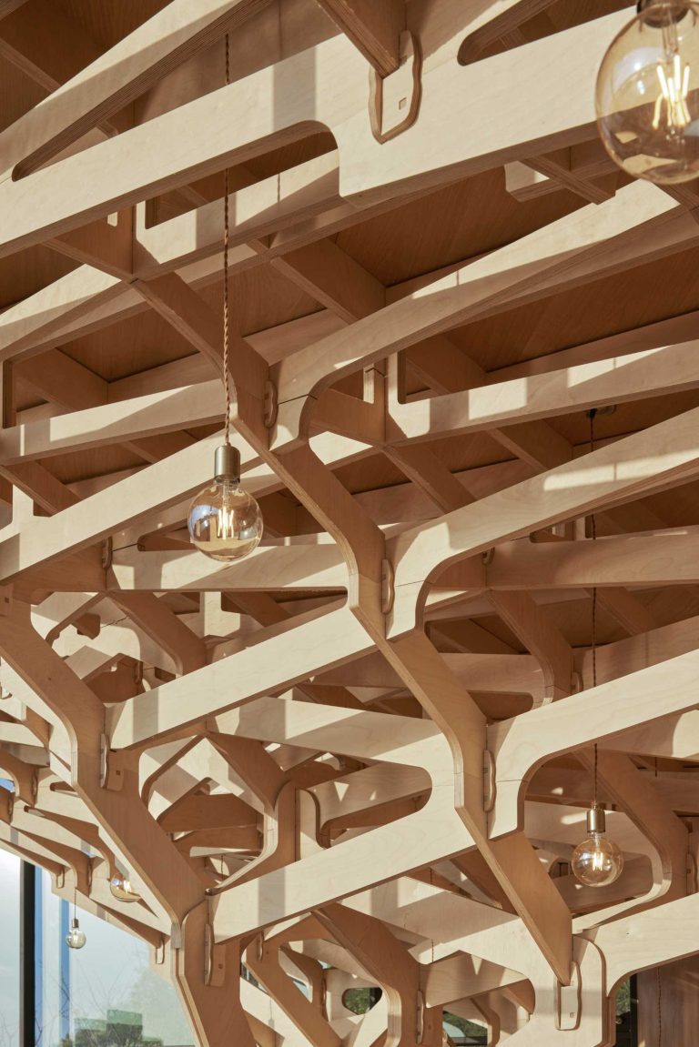 Tree-like Columns Show The Craftsmanship Inside This Riverside Pavilion