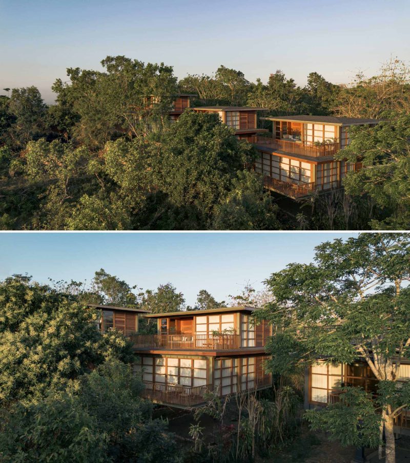 Wood Houses Appear Through The Tops Of The Trees At This Nature-Focused ...