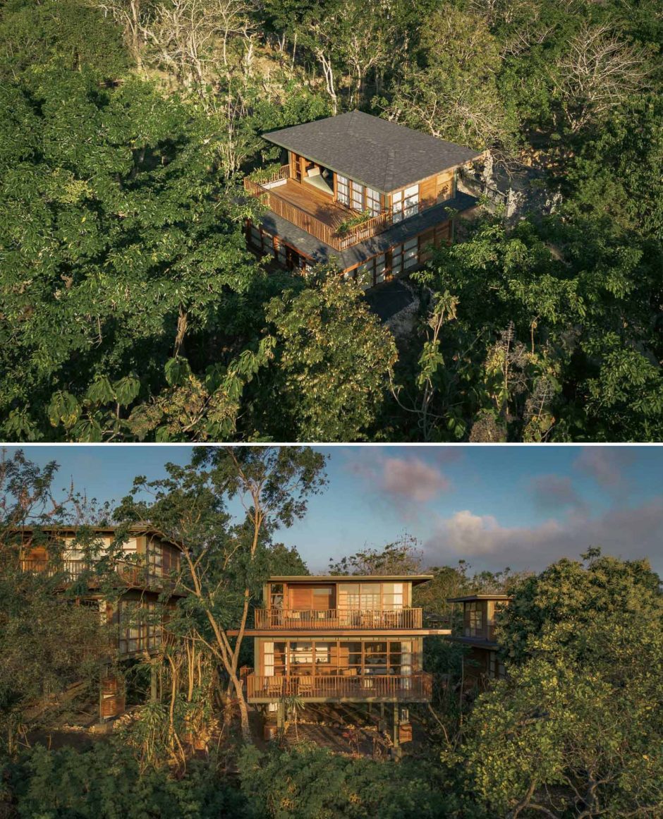 Wood Houses Appear Through The Tops Of The Trees At This Nature-Focused ...